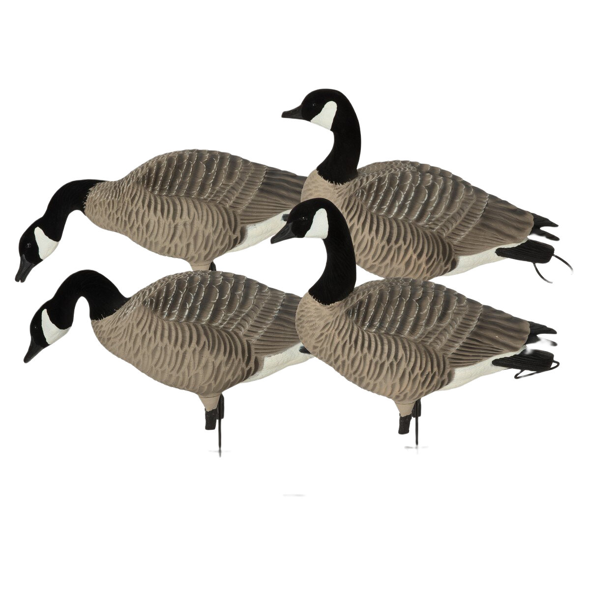 GHG Pro Grade XD Canada Goose Decoys Harvester 4 Pack | Mack's Prairie ...